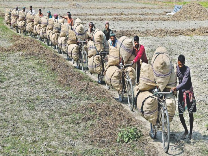 Regional and Rural Development Planning - Department of Development and ...